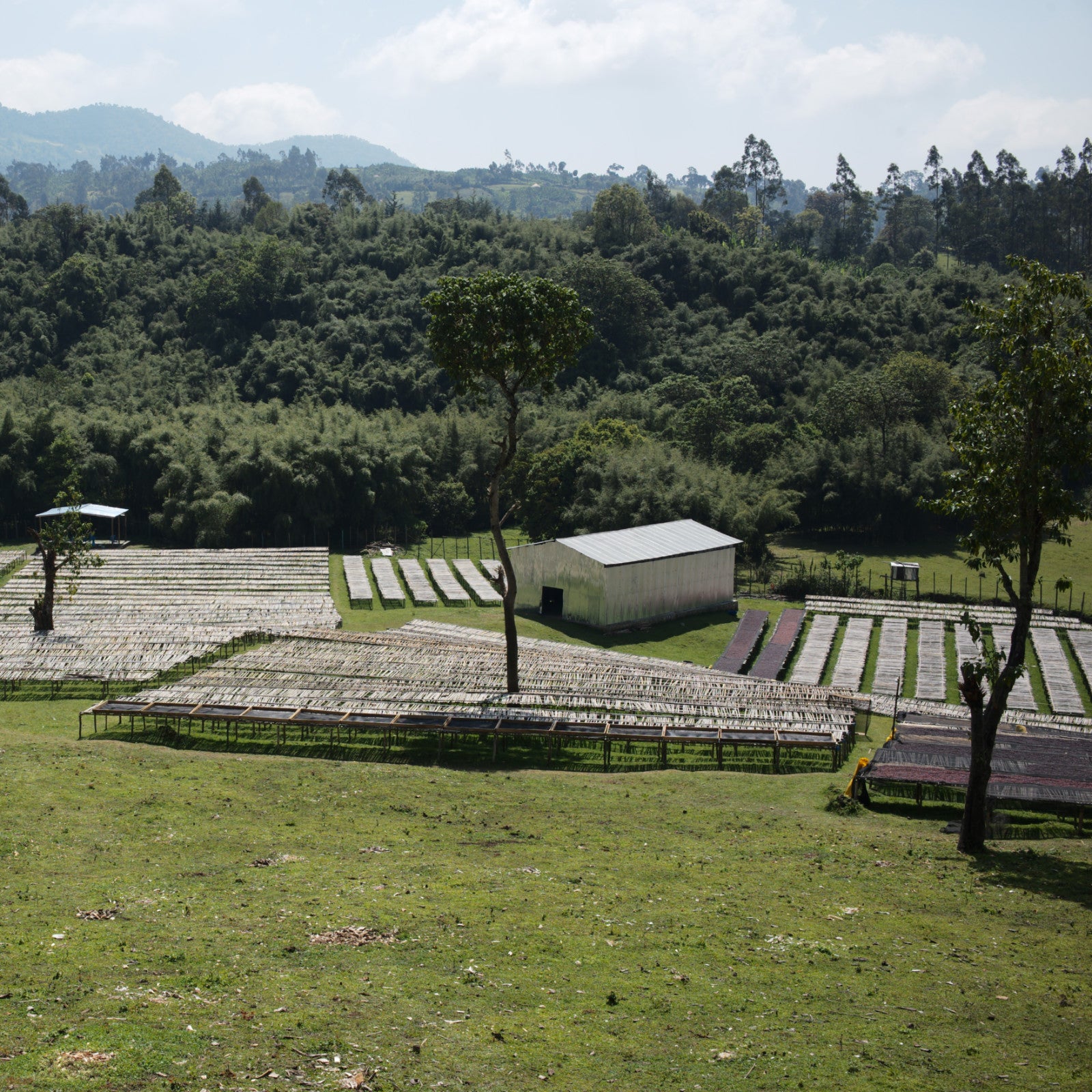 Craft Coffee Roaster | Craft Coffee Roaster